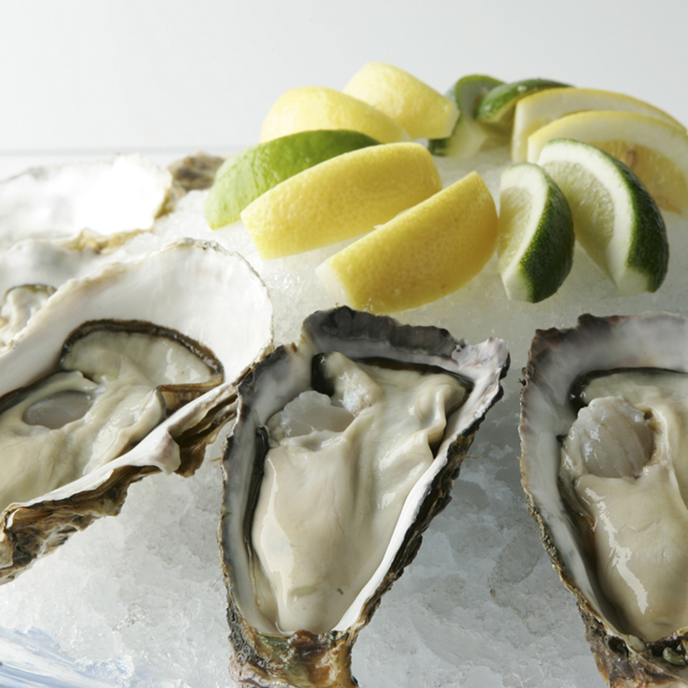 MAIMON GINZA｜DDグループ店舗総合情報サイト